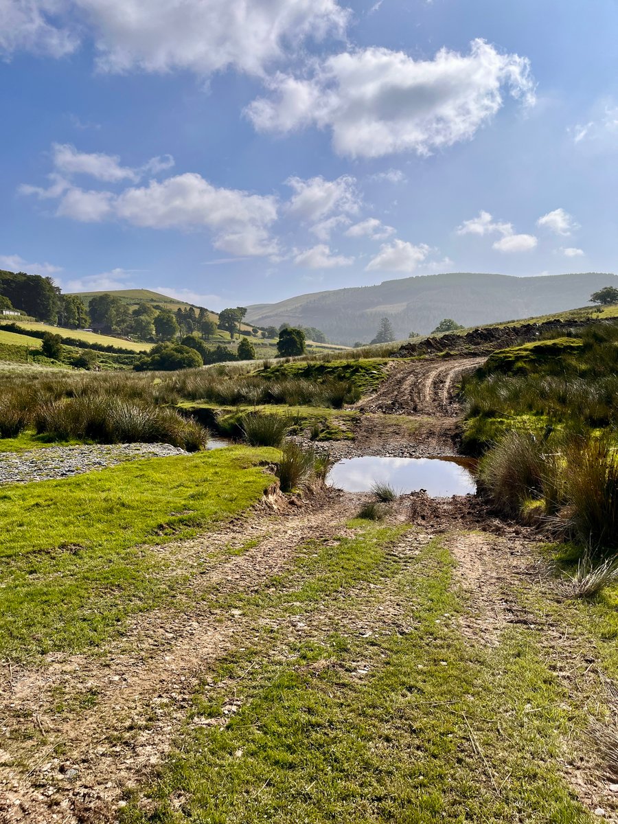 Access Route - Llwynderw - Woodlands